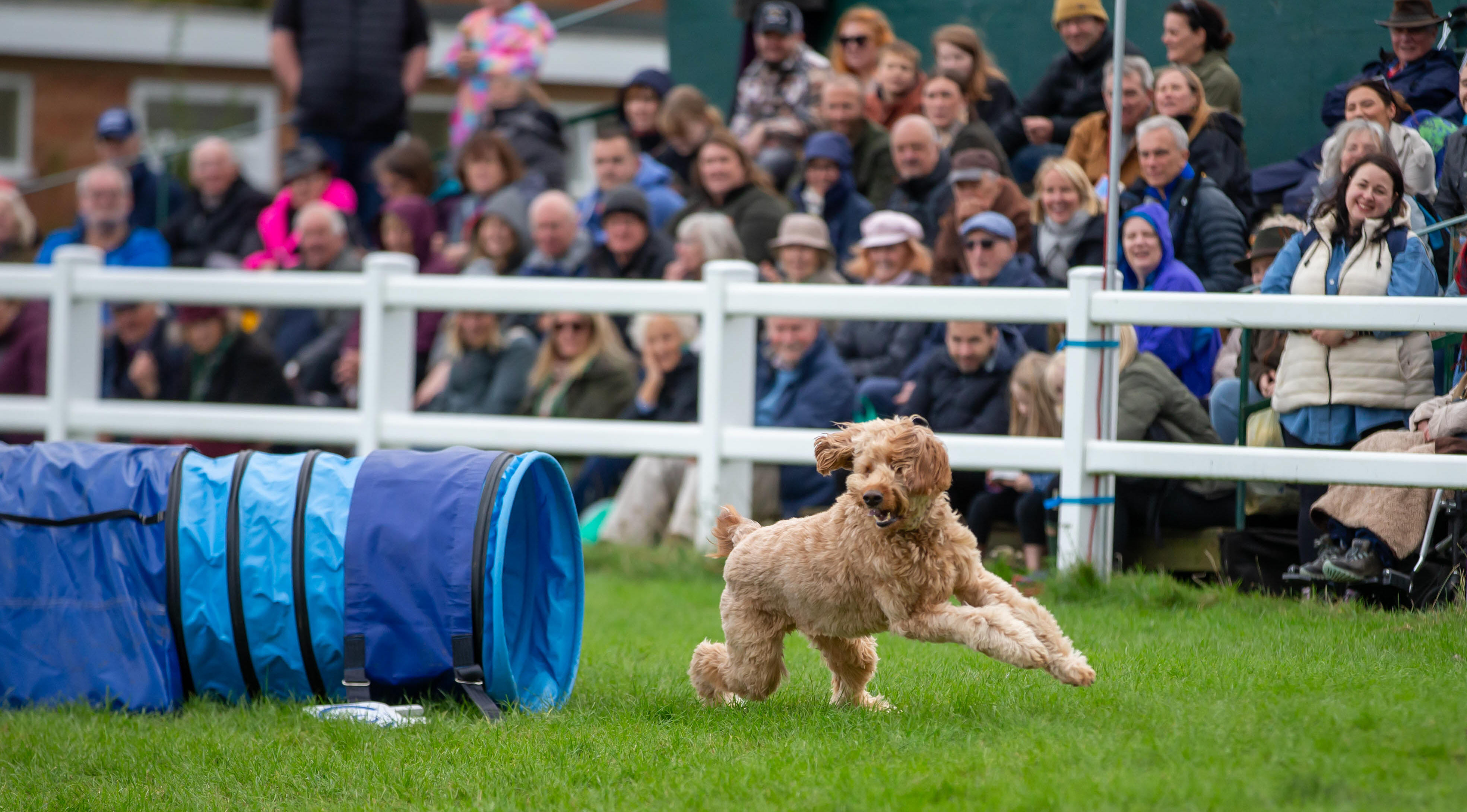 2024 Naylor Agility Challenge